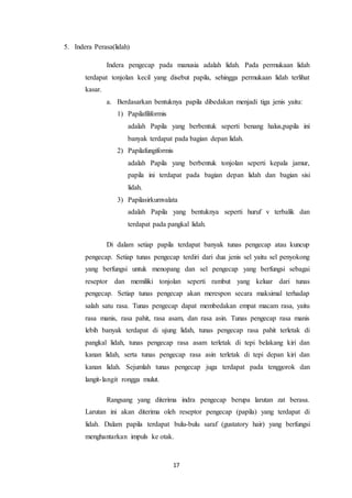 makalah alat indra | DOCX