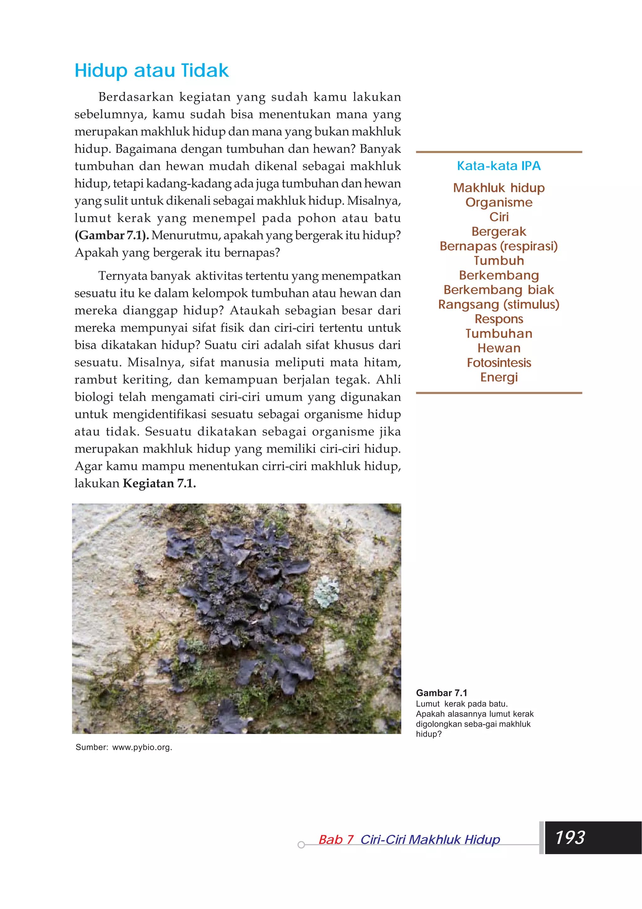 Ipa kls 7 bab 7 ciri-ciri makhluk hidup | PDF