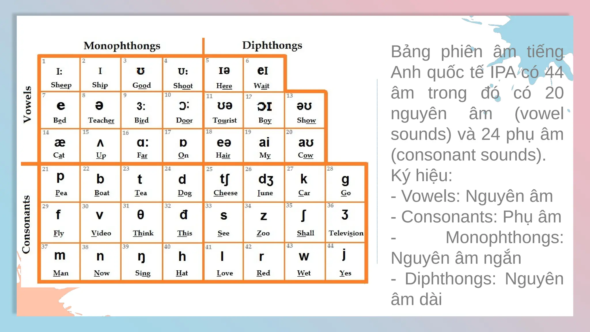 IPA lesson TEACHING ALPHABET LE- LESSON FOR PRIMARY SCHOOL | PDF