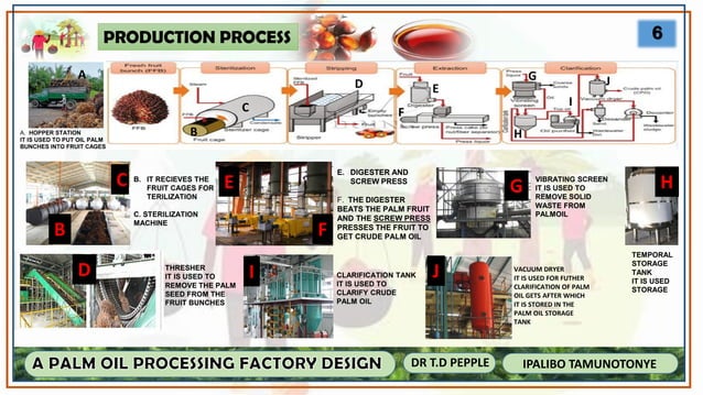 PALM AND CRUDE OIL MILL FACTORY DESIGN RESEARCH | PDF | Gardening ...