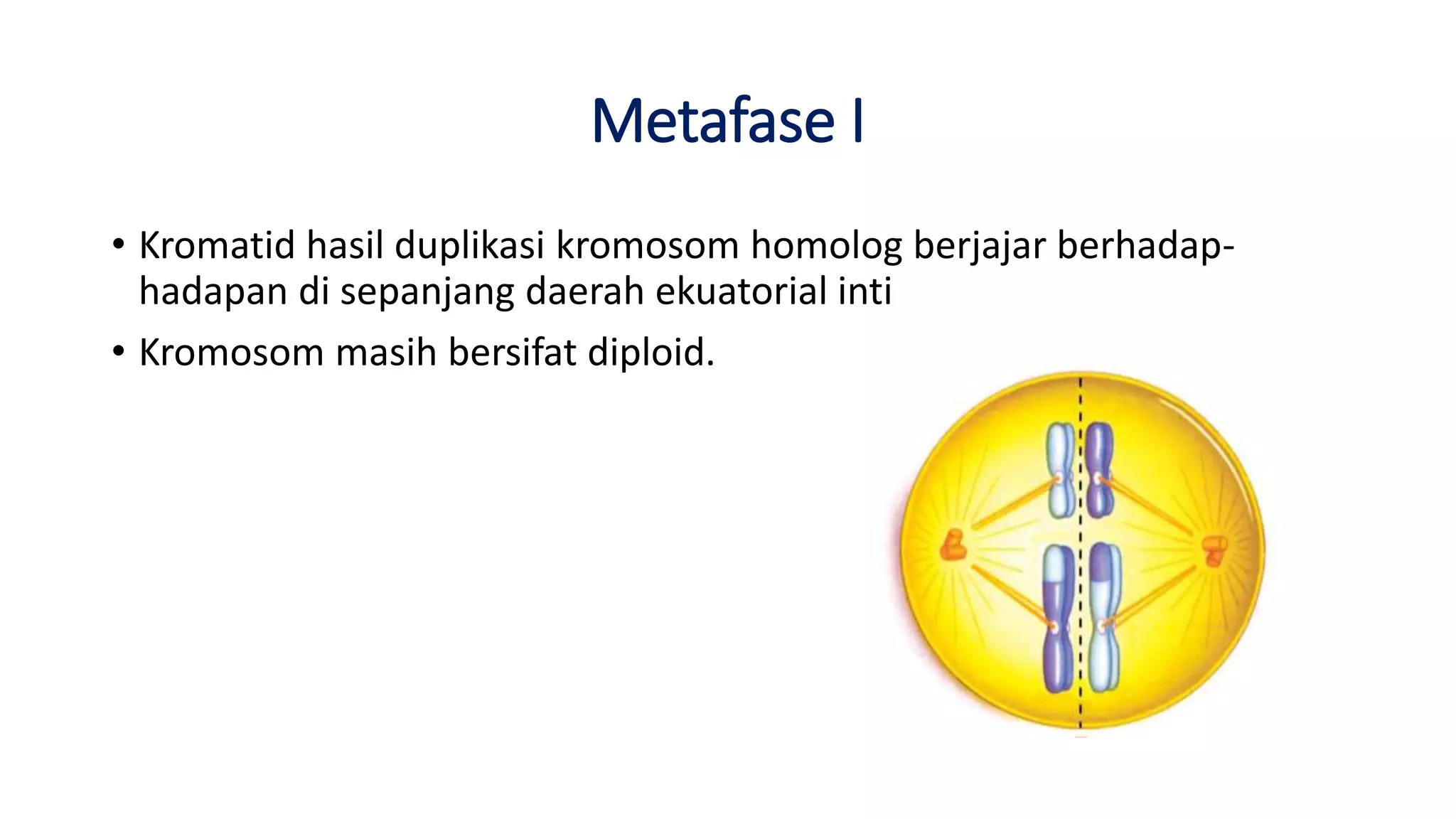 PPT M2 KB3 | PPT