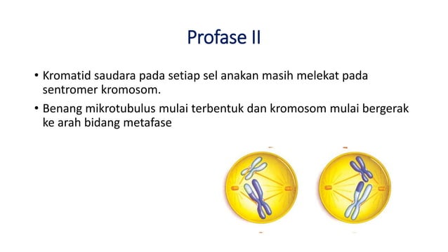 PPT M2 KB3 | PPT