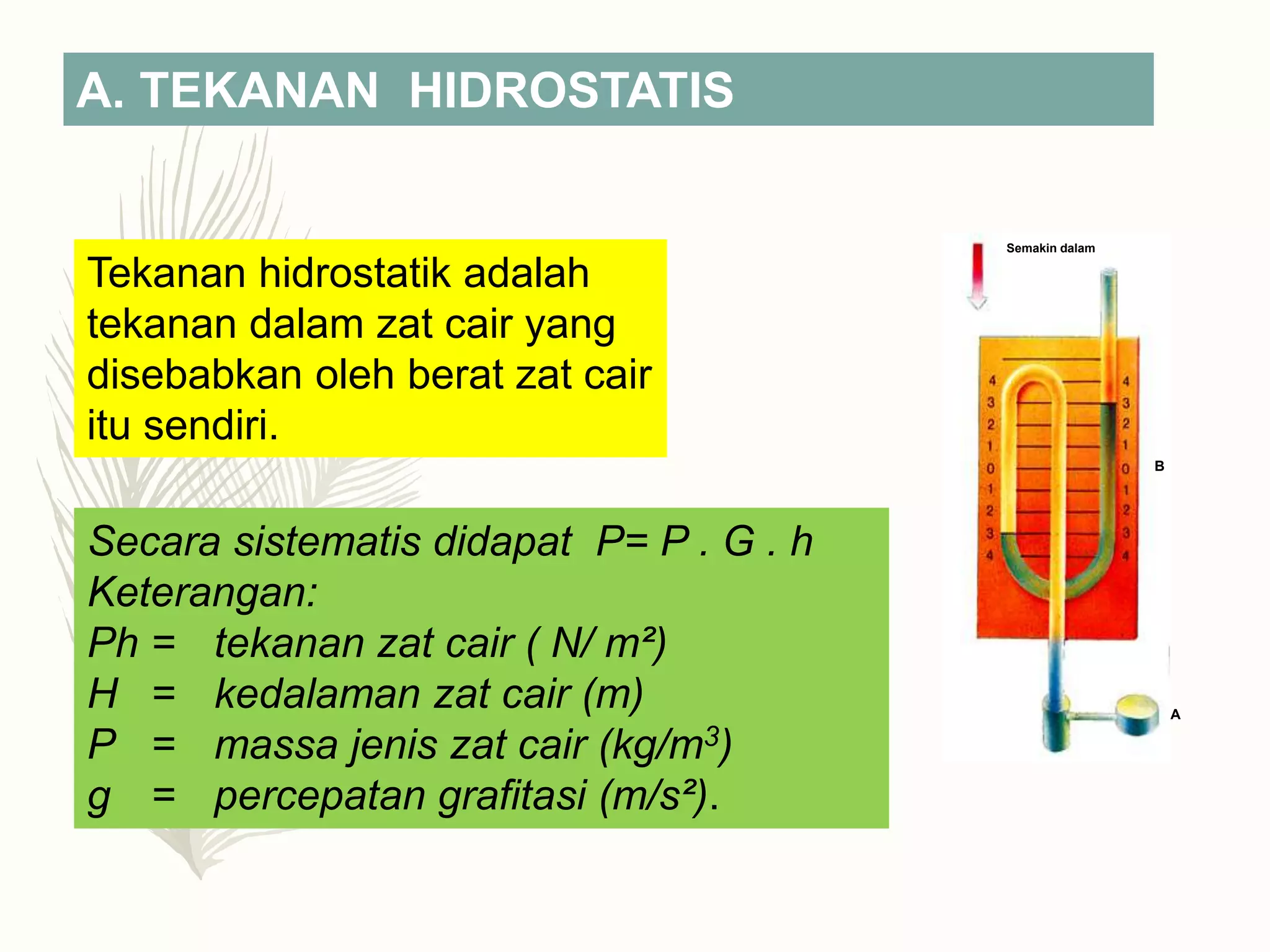 PPT M4 KB3 | PPT
