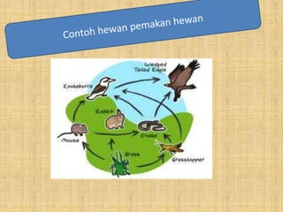 IPA Menggolongkan Hewan | PPTX