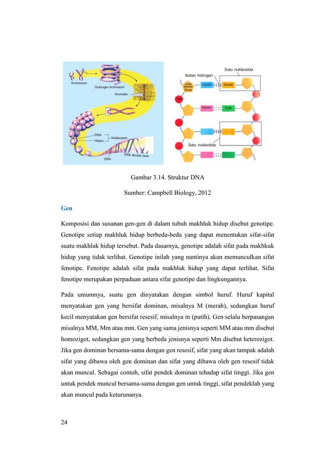 IPA Modul 2 KB 3 Rev | PDF