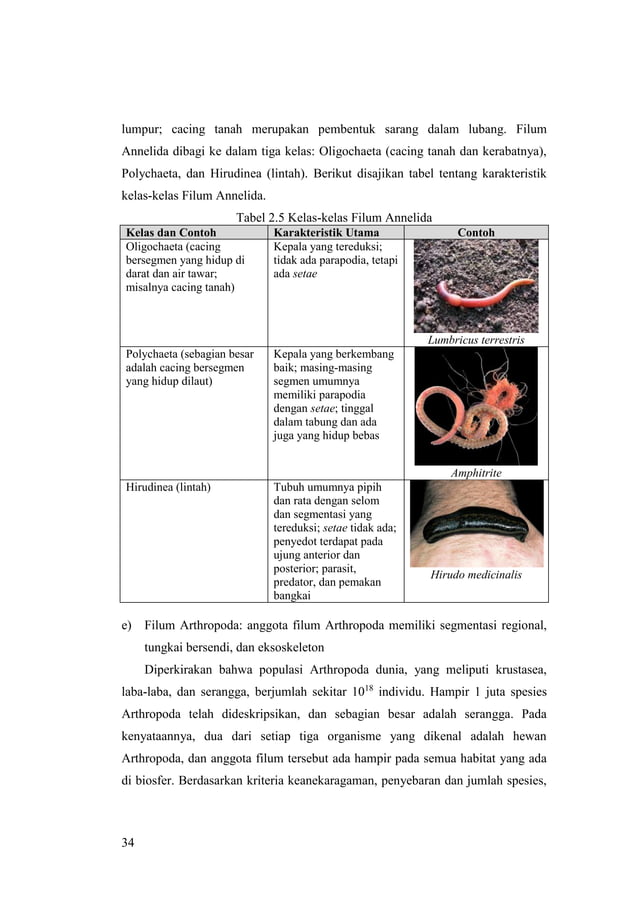 IPA Modul 3 KB 2 Rev | PDF