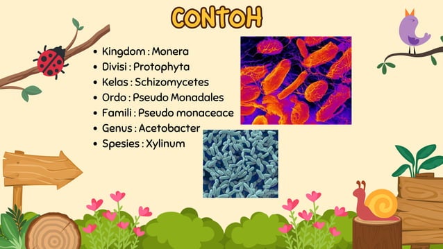 KLASIFIKASI KINGDOM MONERA KELAS 7 SEMESTER 2 | PPT