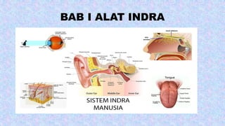 MATERI PELAJARAN IPA PANCA INDRA (PART 1).pptx