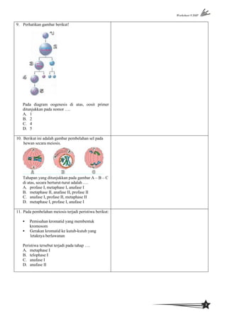 Ipa (pembelahan sel) | PDF