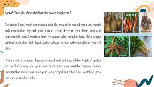 IPA PERKEMBANG BIAKAN TUMBUHAN SECARA VEGETATIF.pptx