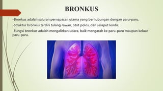 IPA PERNAPASAN MANUSIA.pptx