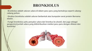 IPA PERNAPASAN MANUSIA.pptx