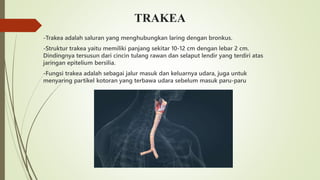 IPA PERNAPASAN MANUSIA.pptx