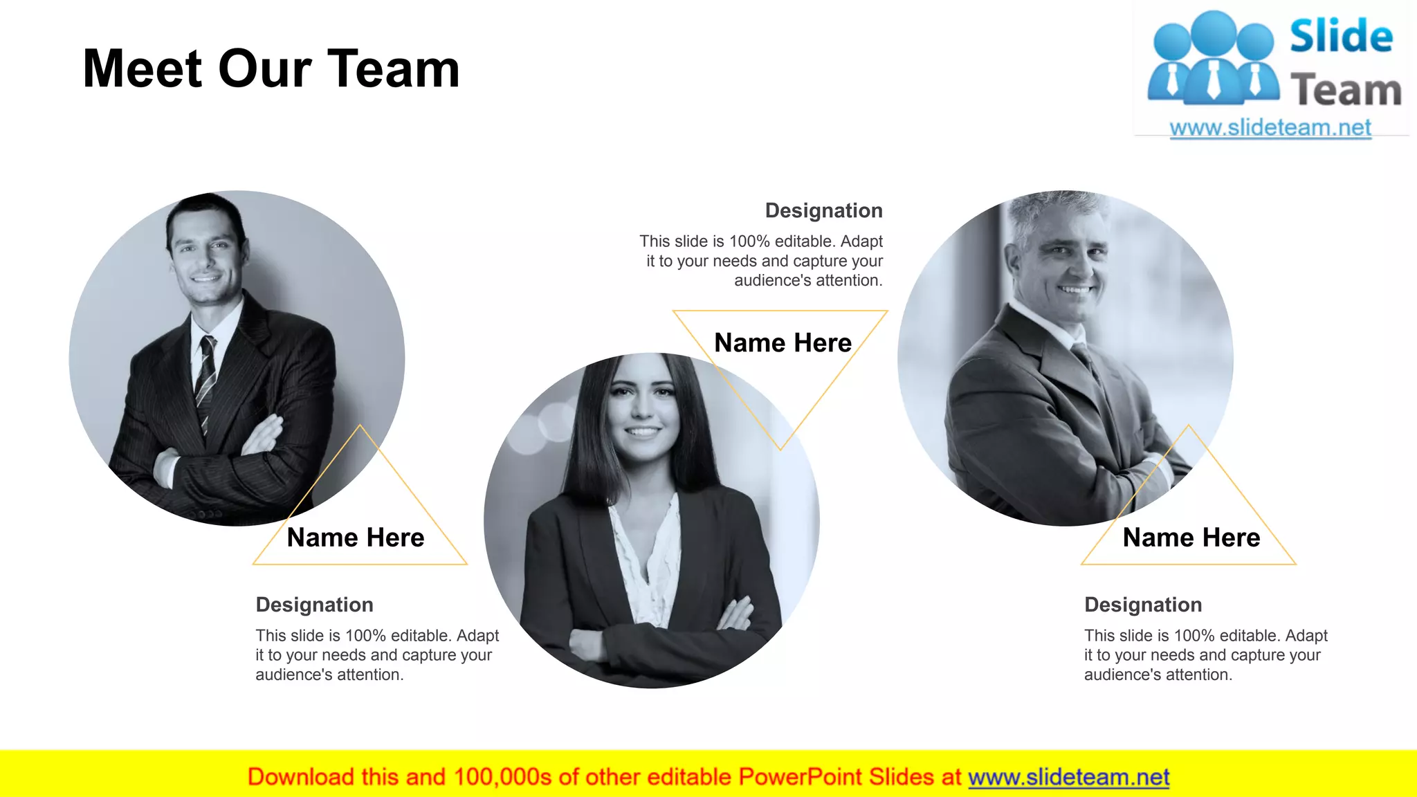 IPA PowerPoint Presentation Slides | PDF