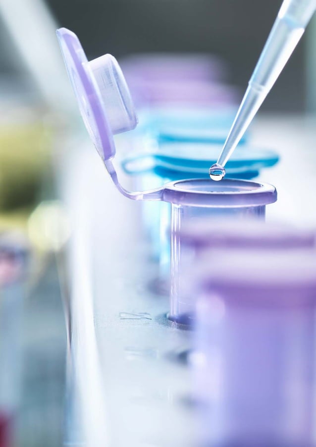 IPA Process Validation Guidelines- Indian Pharmaceutical Alliance | PDF