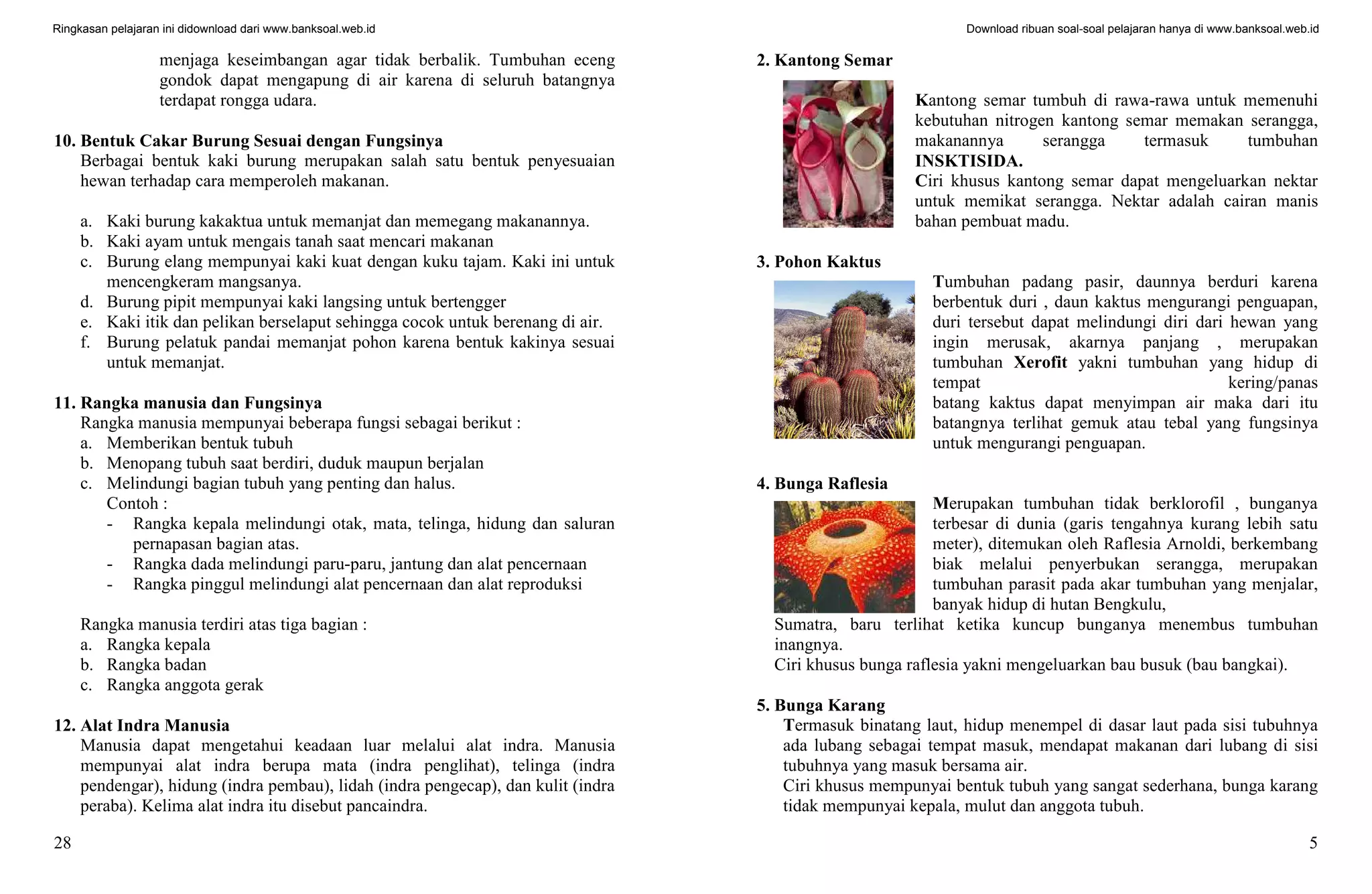 Rangkuman IPA kelas6.pdf