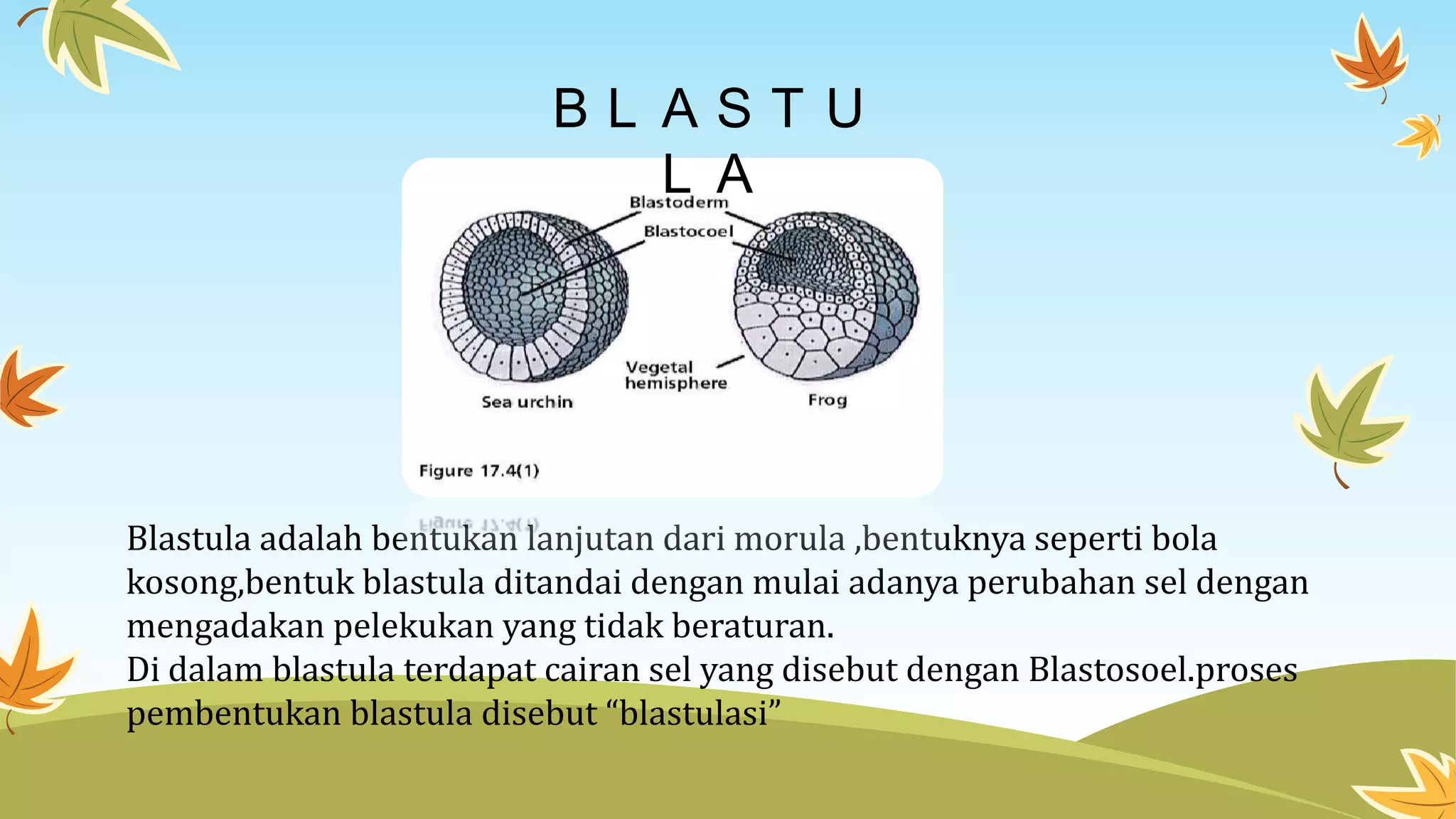 Reproduksi wanita | PPTX