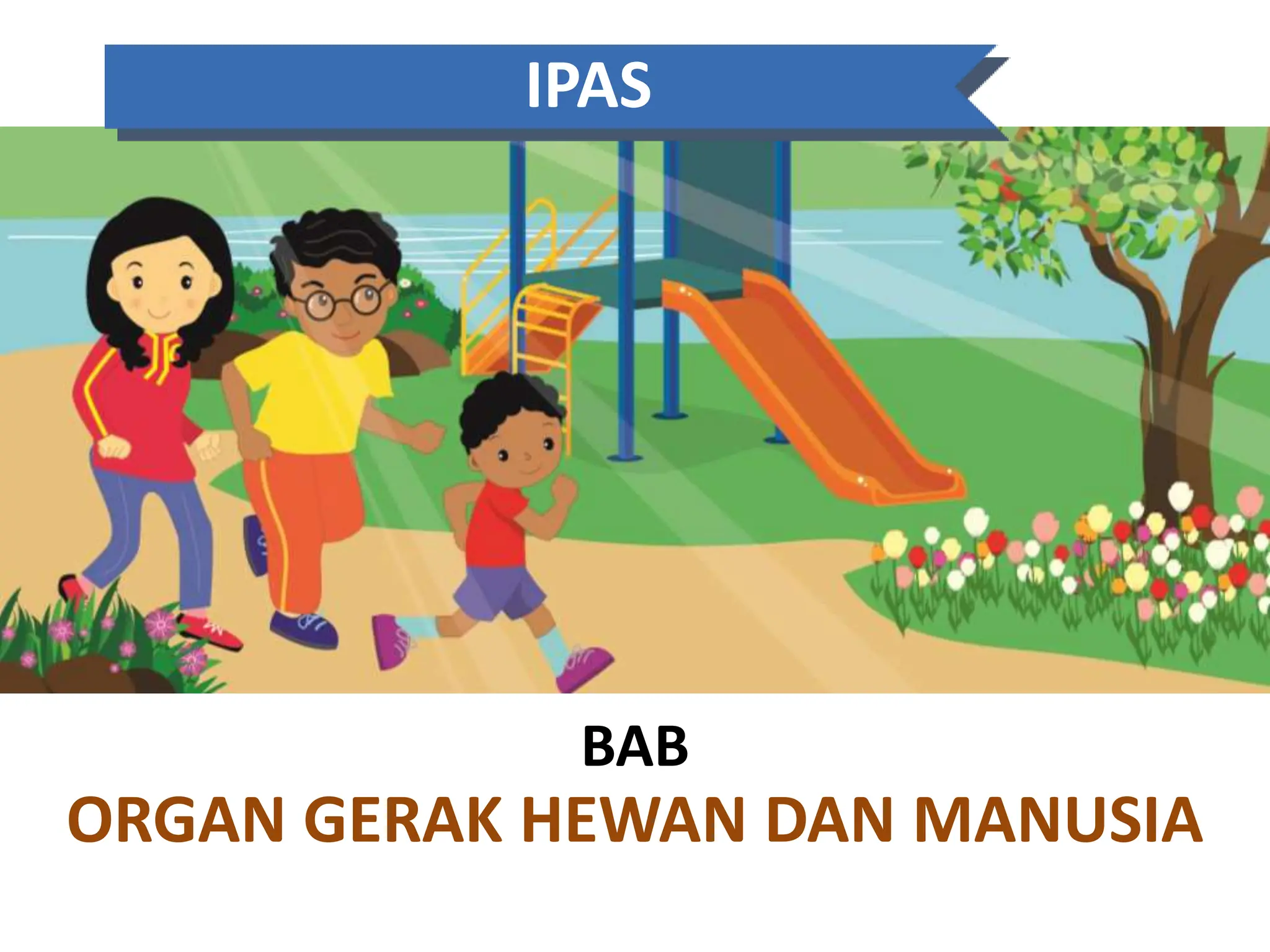 IPAS.pptx