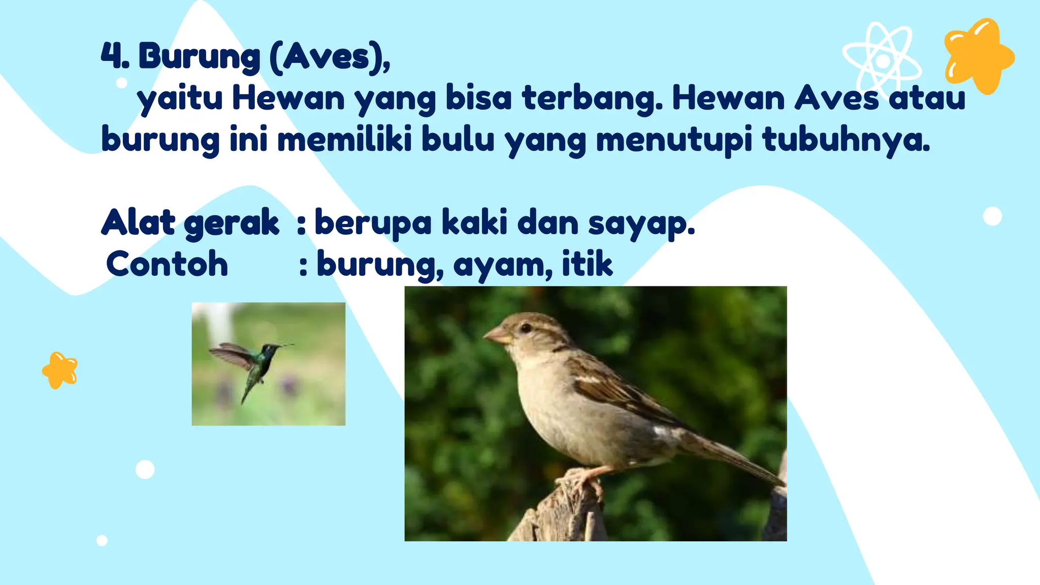 IPAS kelas 5 - Alat Gerak pada Hewan.pptx