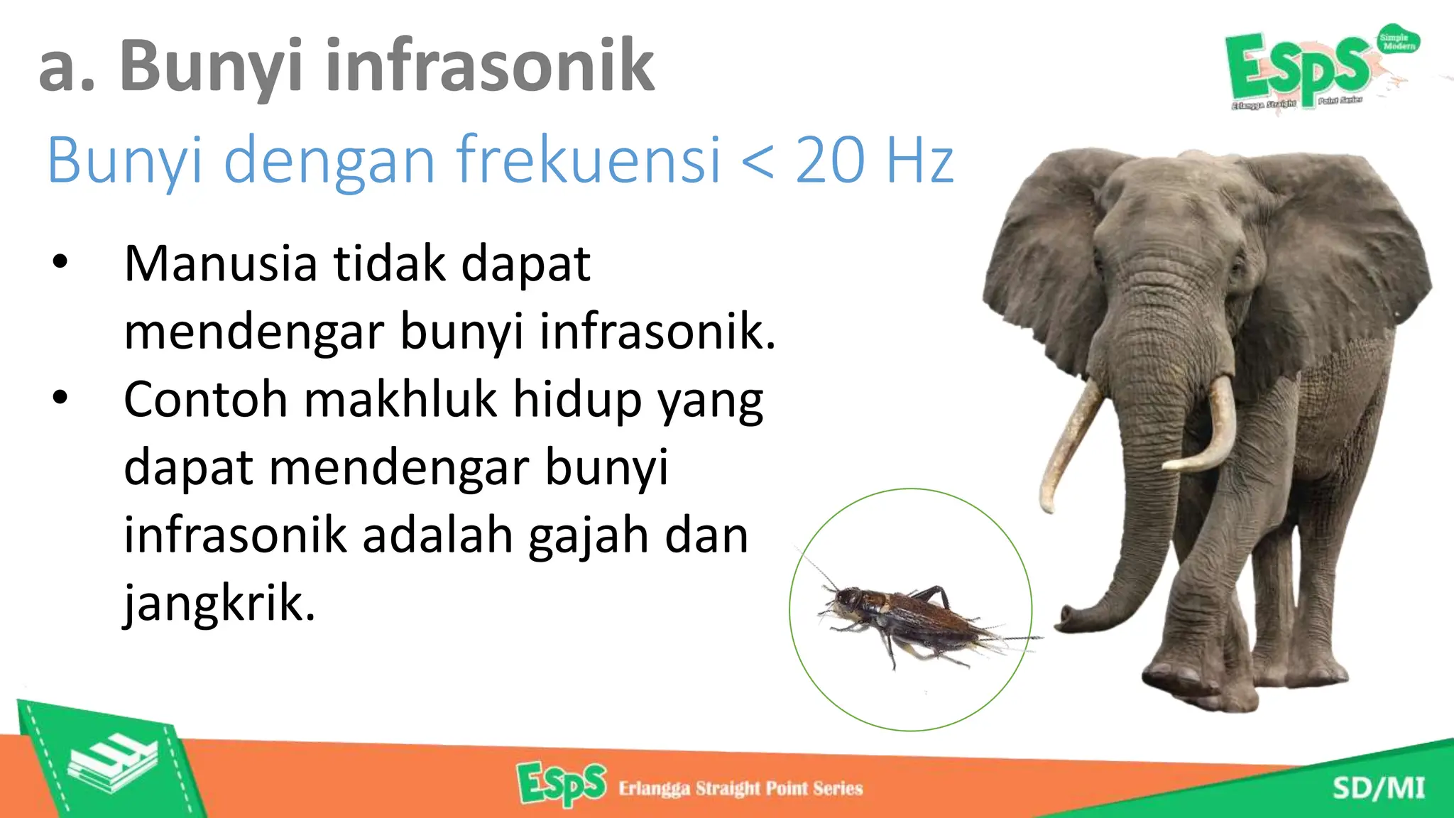 IPAS BAB 1 Cahaya dan Bunyi di Sekitar Kita.pptx