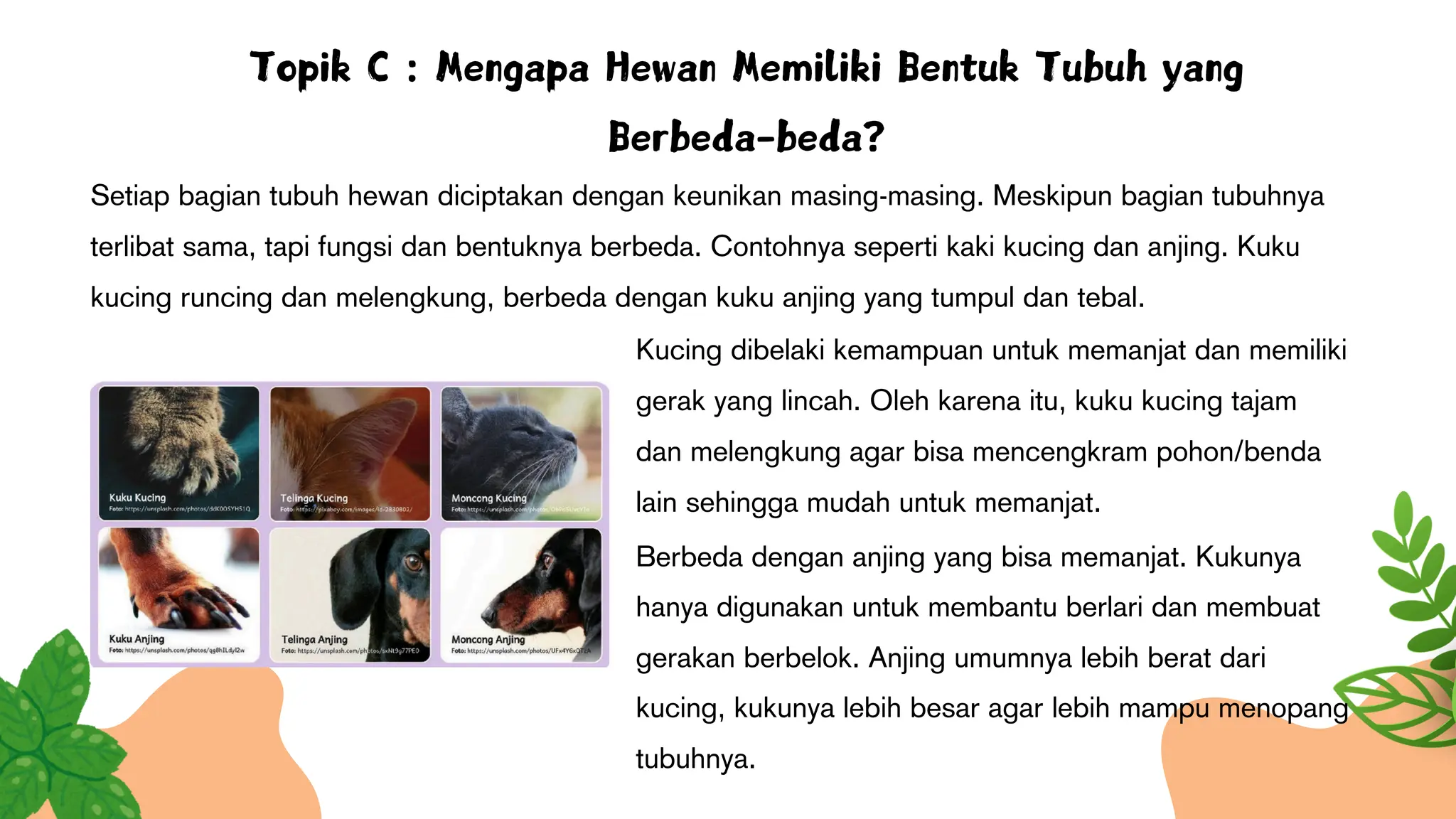 ILMU PENGETAHUAN ALAM DAN SOSIAL BAB 1 MARI KENALI HEWAN DISEKITAR KITA ...