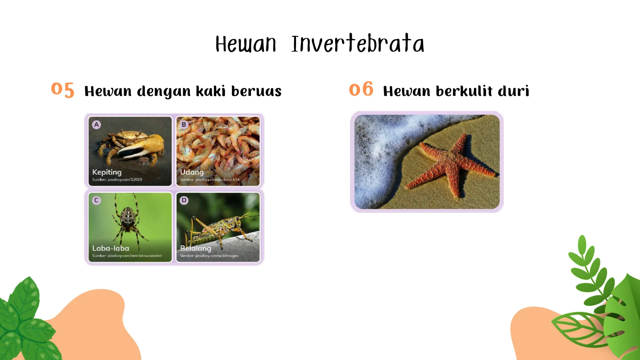 ILMU PENGETAHUAN ALAM DAN SOSIAL BAB 1 MARI KENALI HEWAN DISEKITAR KITA ...