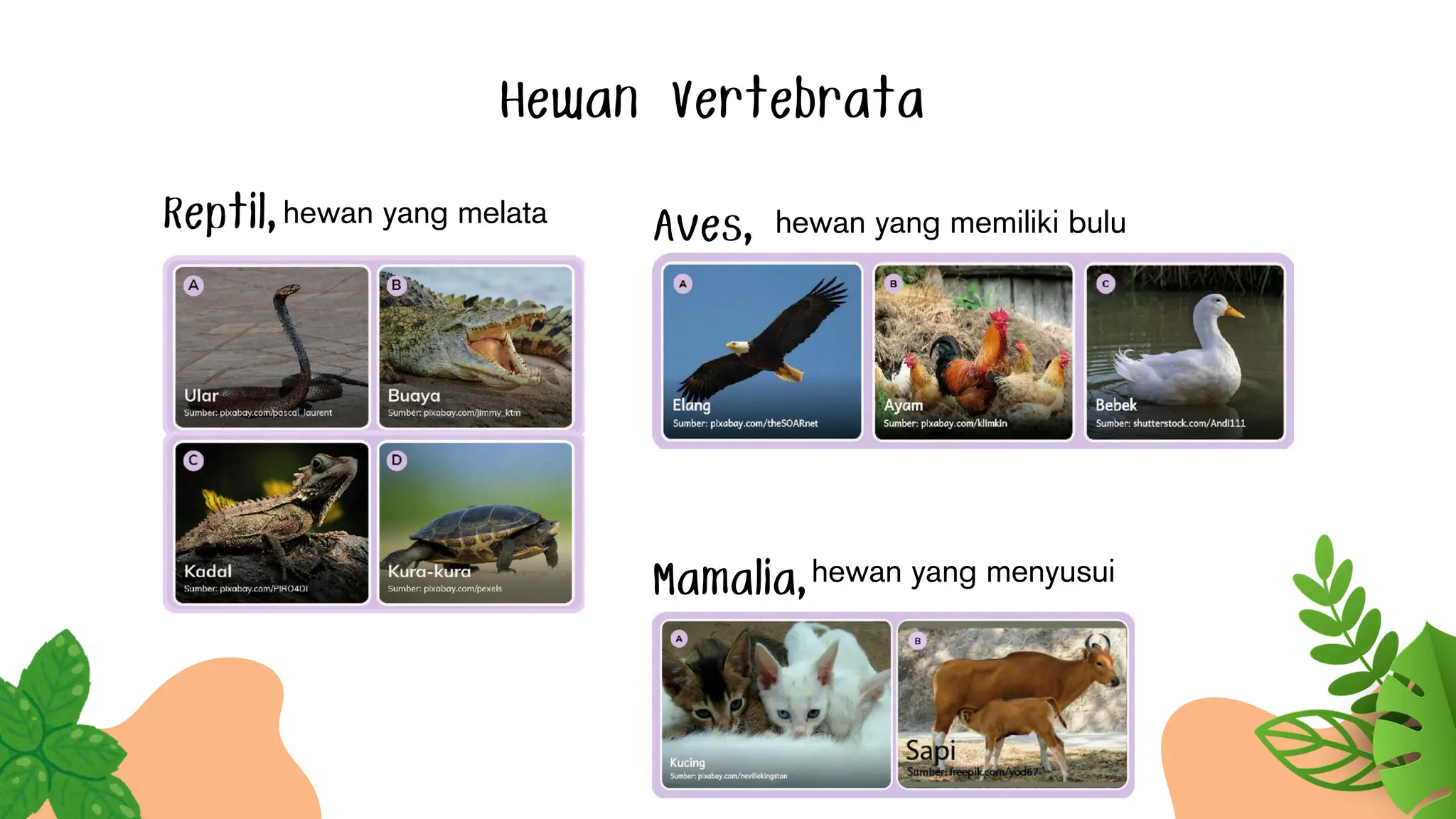 ILMU PENGETAHUAN ALAM DAN SOSIAL BAB 1 MARI KENALI HEWAN DISEKITAR KITA | PDF