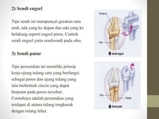 rangka otot dan pesawat sederhana | PPT