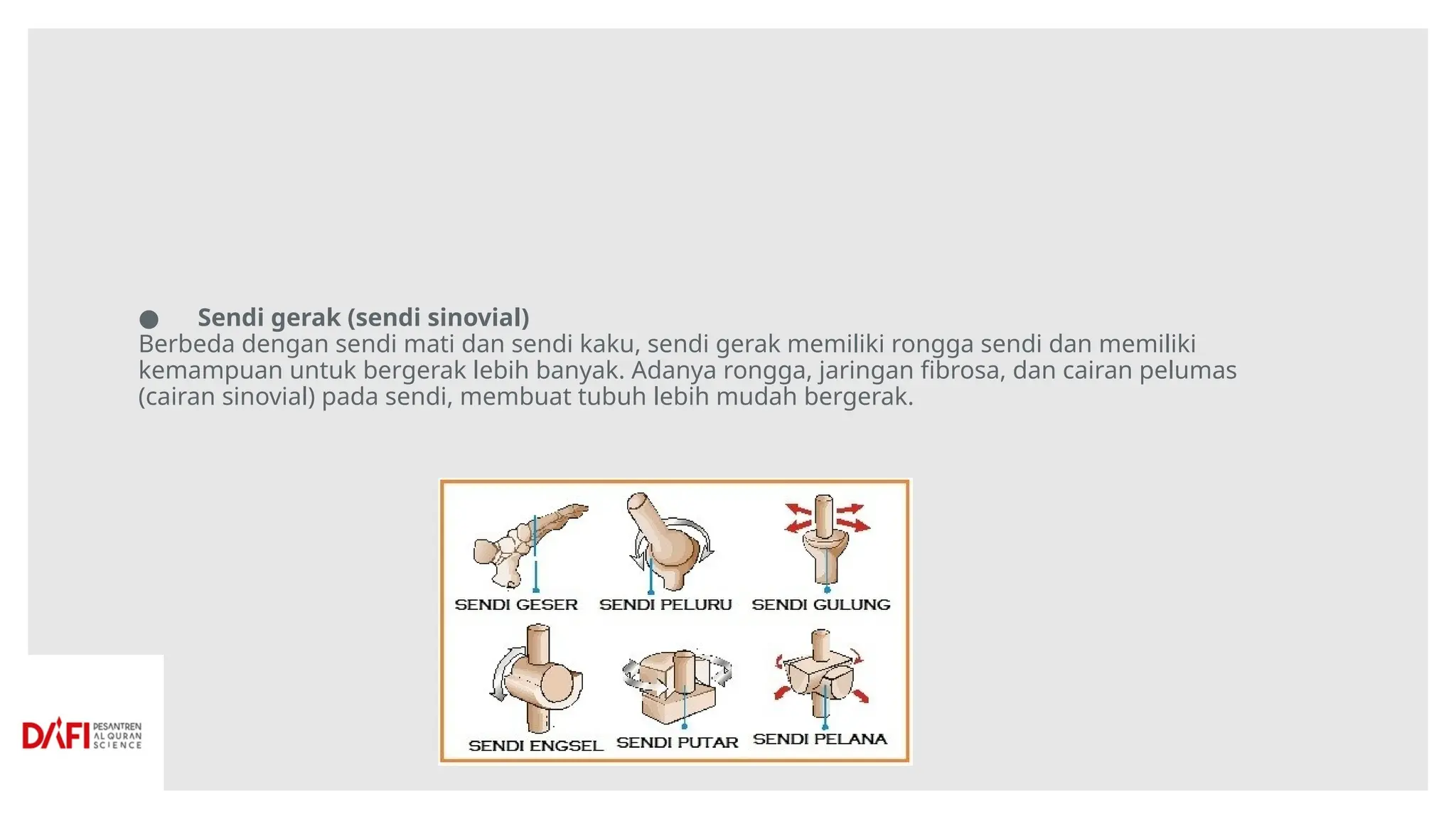 IPA SENDI contoh presentasi SMP kelas 9.pptx