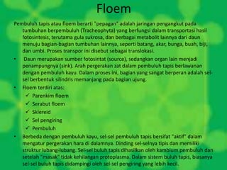 Ipa sistem transportasi pada tumbuhan | PPTX