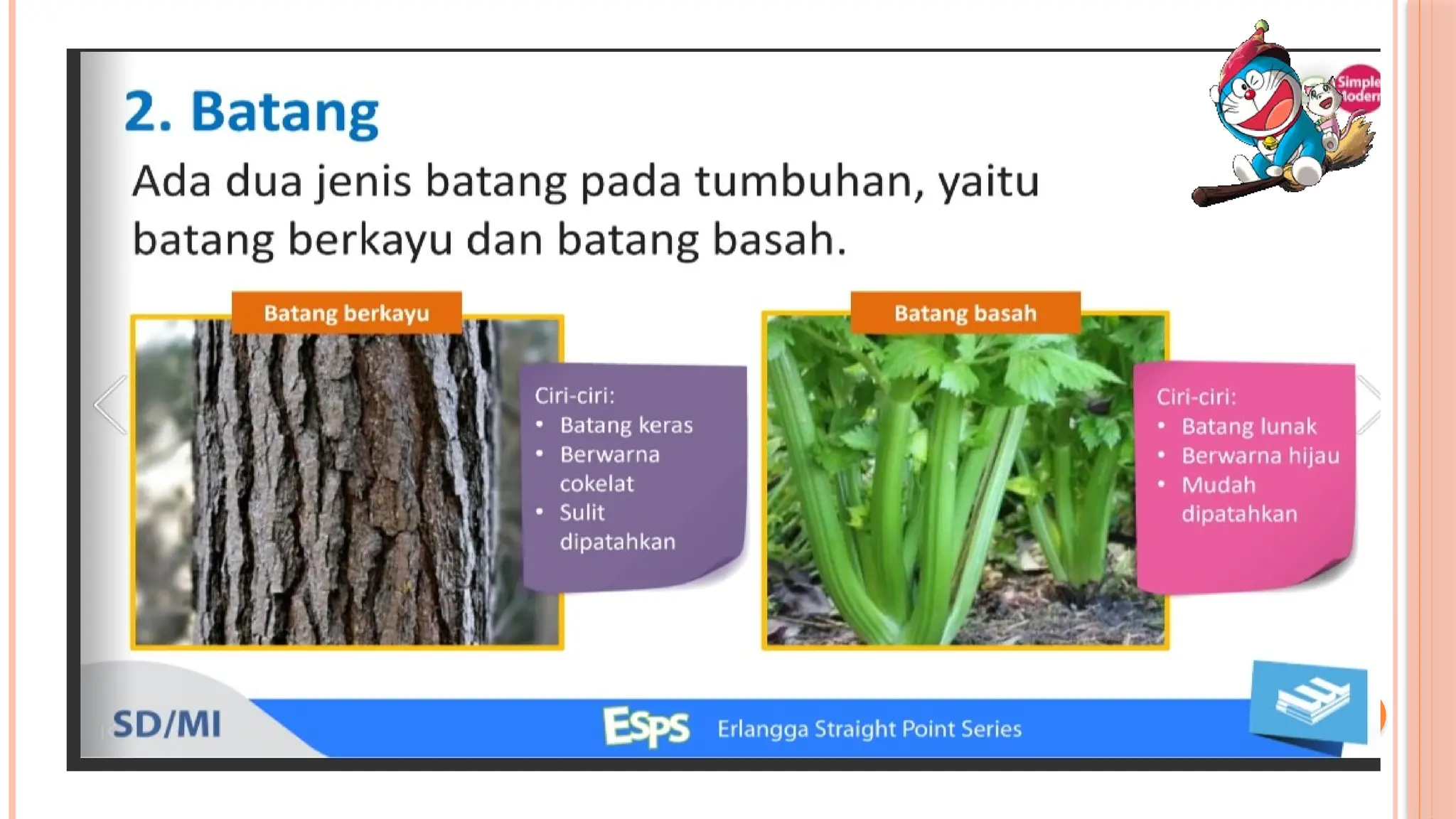 PPT IPAS Kelas 4 Bab 1 Bagian Tubuh Tumbuhan | PPTX