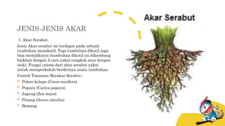 PPT IPAS Kelas 4 Bab 1 Bagian Tubuh Tumbuhan | PPTX