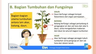 PPT IPAS Kelas 4 Bab 1 Bagian Tubuh Tumbuhan | PPTX