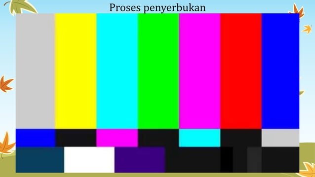 IPAS (Perkemabng biakan generatif dan vegetatif).pptx