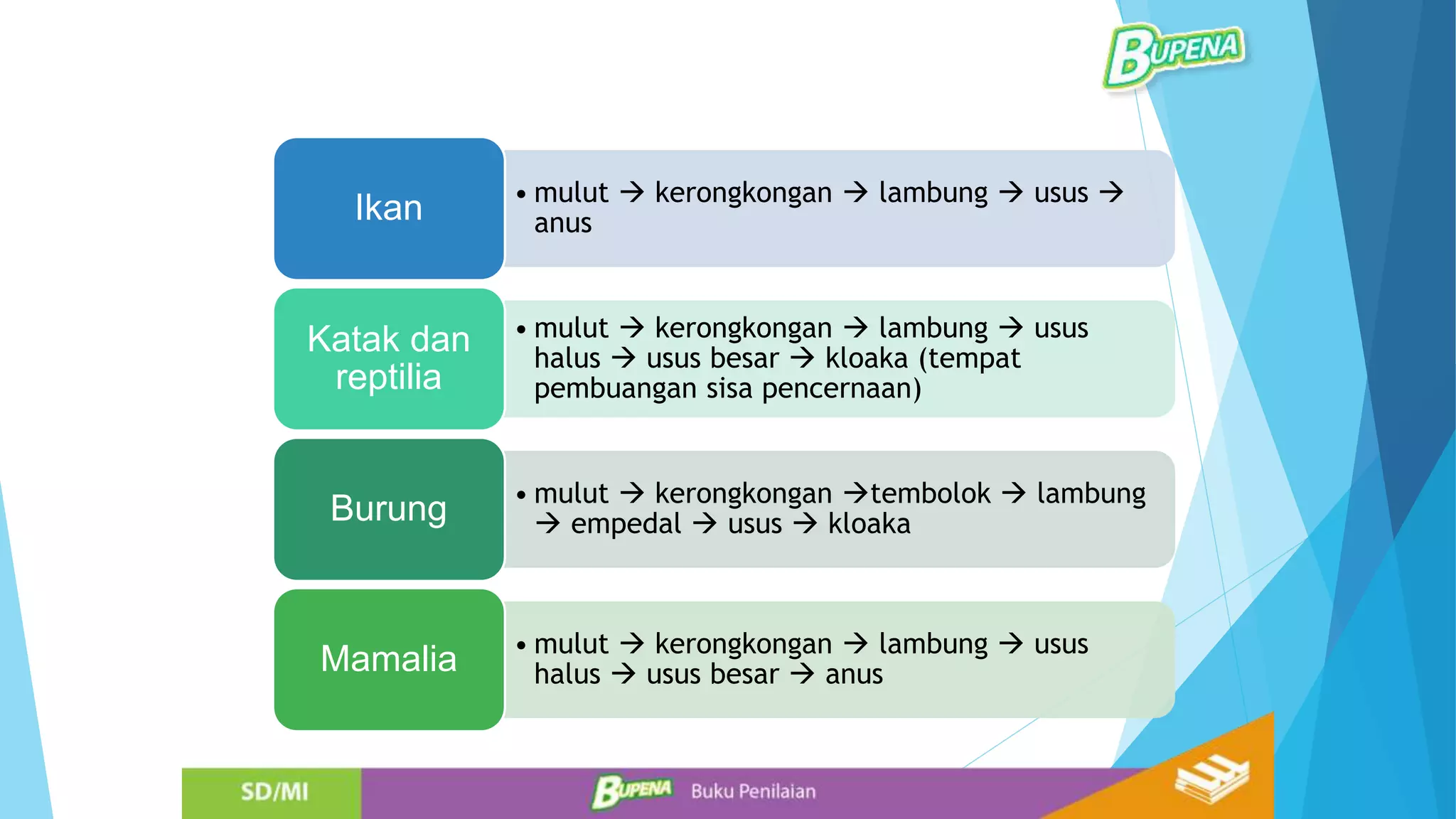 IPA st1 proses pencernaan pada hewan | PPTX
