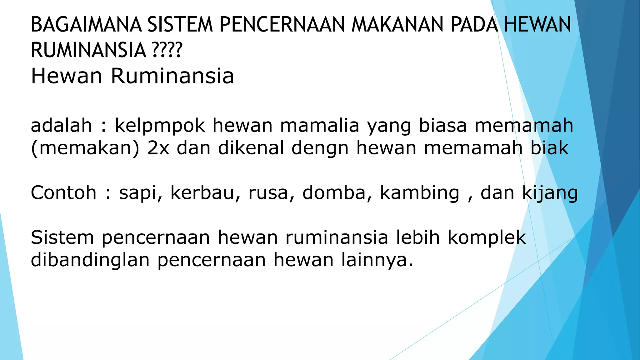 IPA st1 proses pencernaan pada hewan | PPTX