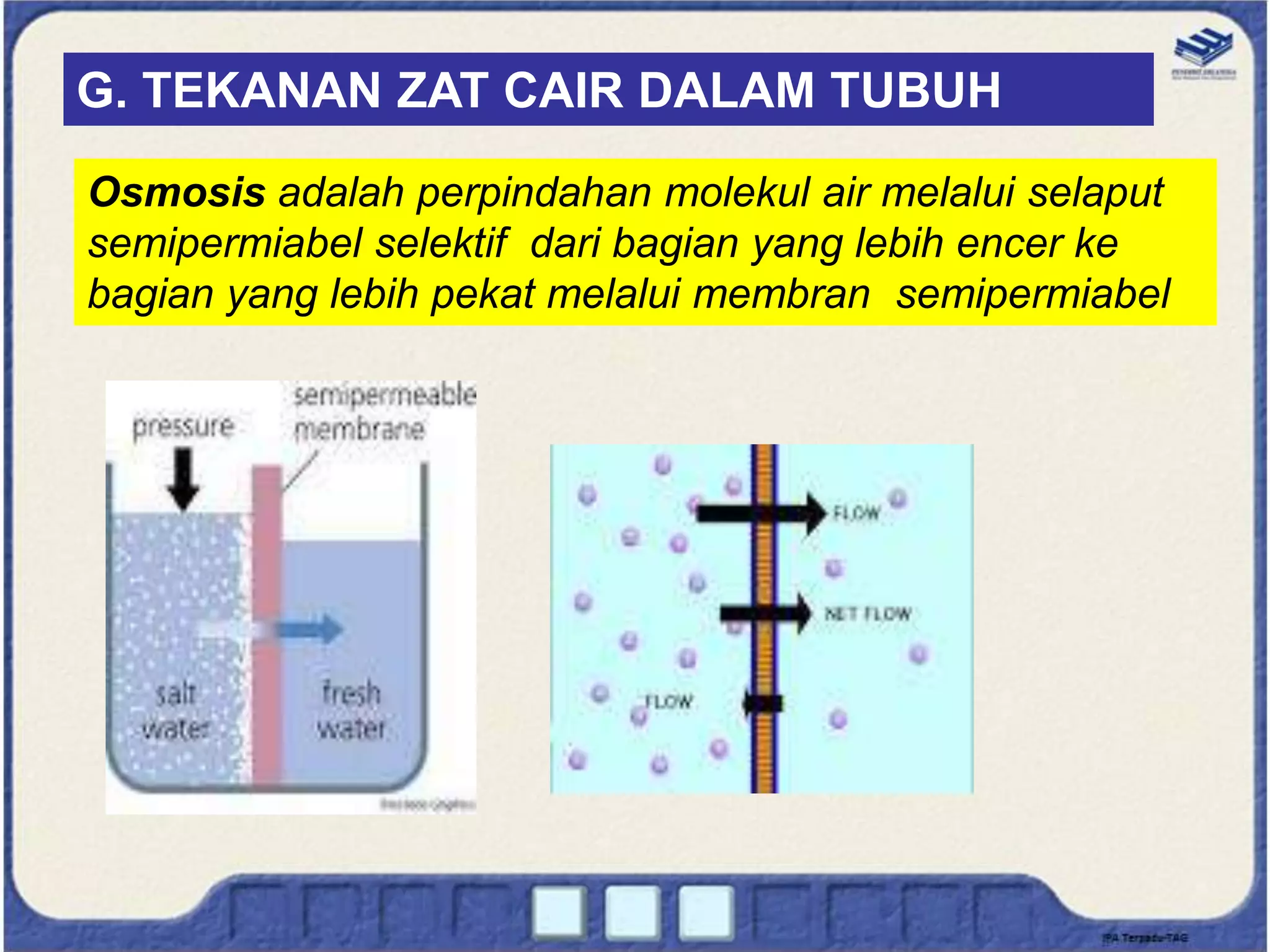 IPA Terpadu VIII - Bab 8 Tekanan pada Zat Cair.ppt