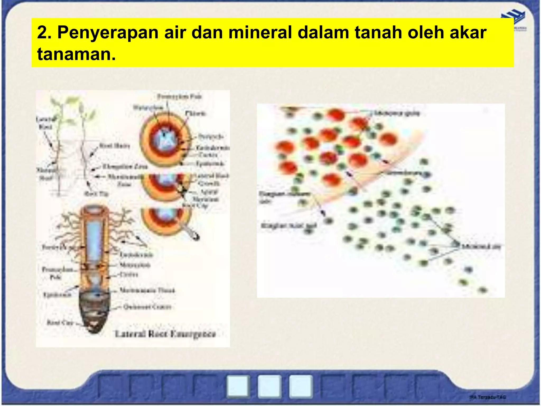 IPA Terpadu VIII - Bab 8 Tekanan pada Zat Cair.ppt