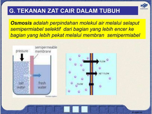IPA Terpadu VIII - Bab 8 Tekanan pada Zat Cair.ppt