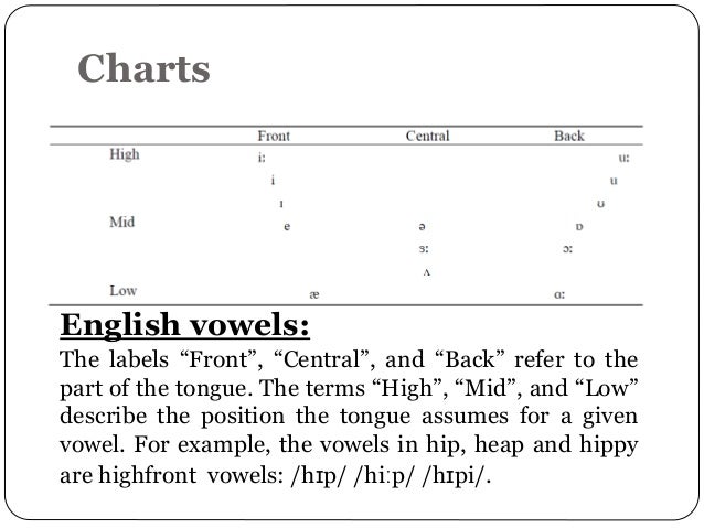 Ipa transcription practice 5th lecture