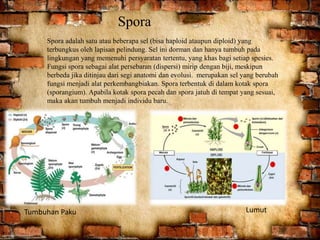 IPA Vegetatif Alami SUKSESS pelajaran kelas 7.pptx