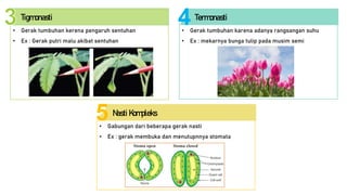 IPA VIII Fotosintesis, Respirasi, dan Gerak Tumbuhan.pdf