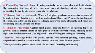 Improvement in flowering & fruiting in fruit plants.pptx