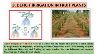Improvement in flowering & fruiting in fruit plants.pptx