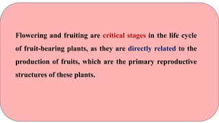 Improvement in flowering & fruiting in fruit plants.pptx