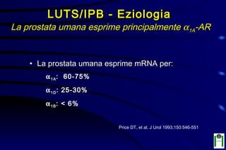 La terapia IPB: Focus su Alfuzosina | PPT