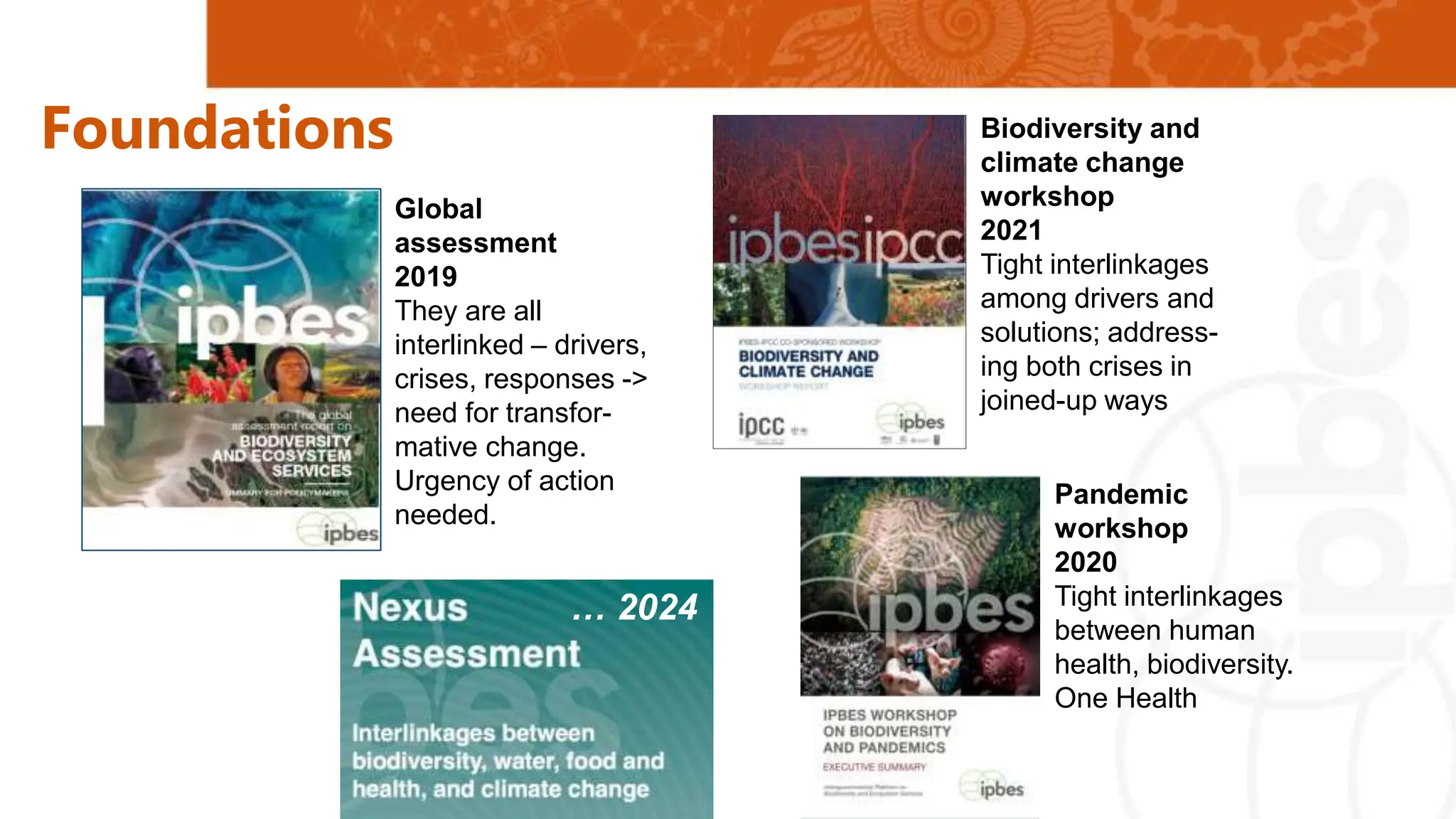 Climate Change, Biodiversity & Health - IPBES Perspectives | PPTX