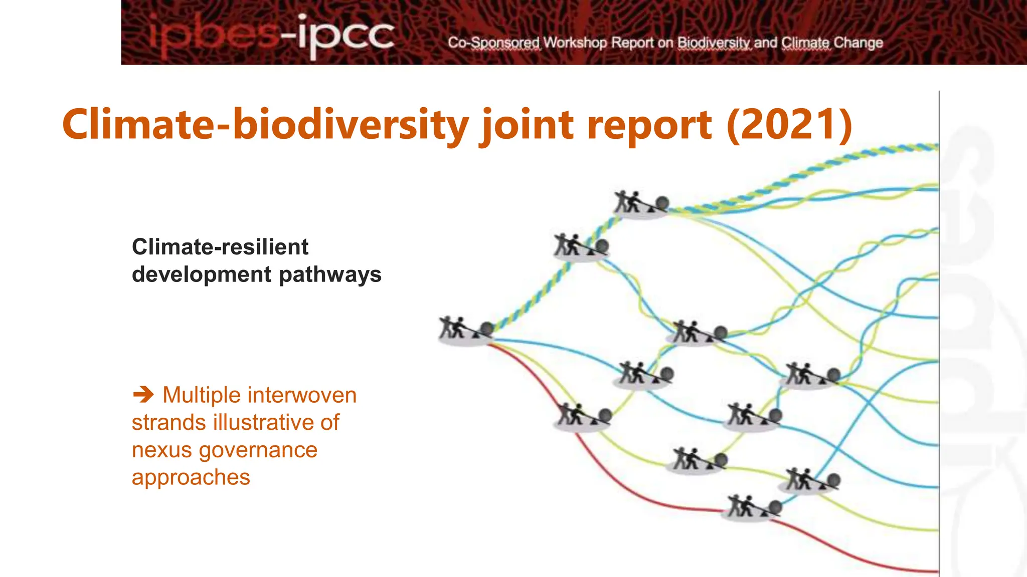 Climate Change, Biodiversity & Health - IPBES Perspectives | PPTX