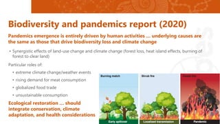 Climate Change, Biodiversity & Health - IPBES Perspectives | PPTX