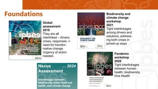 Climate Change, Biodiversity & Health - IPBES Perspectives | PPTX